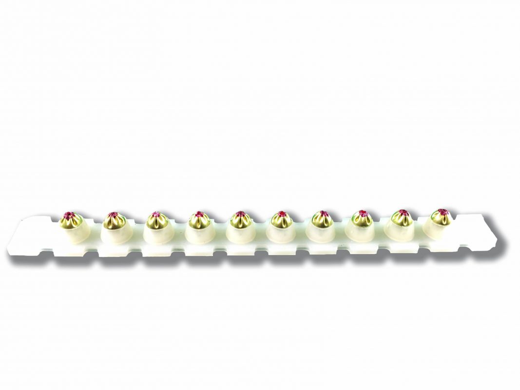 .25 Caliber Strip Load – Bluepoint Fasteners